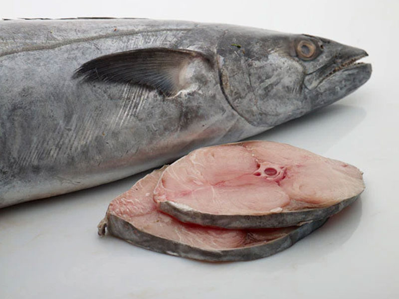 SAIL FRESH FISH | Premium Seafood Delivery